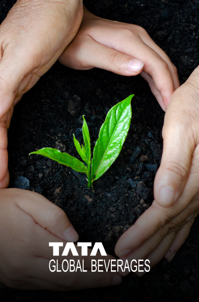 Tata Global Beverages Success Story | Digital Marketing Portfolio | The QA